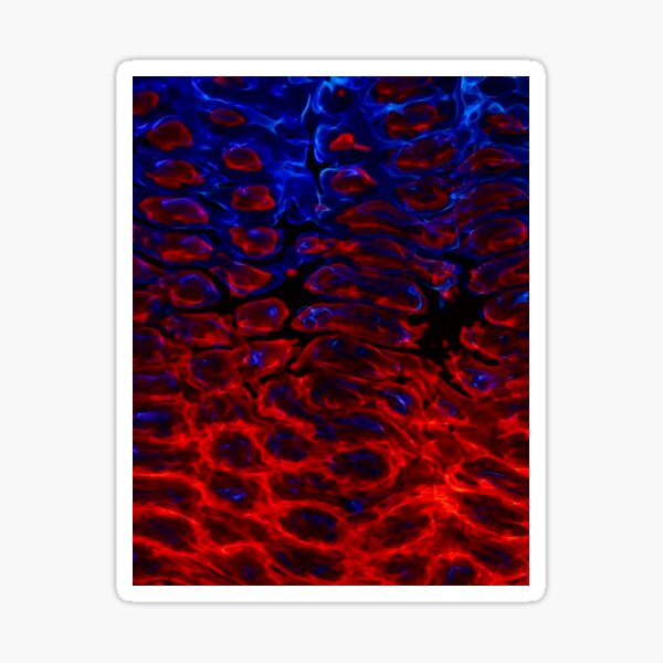 "Blue versus red" Sticker for Sale by socialseller | Redbubble