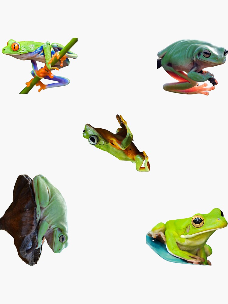 "2nd Smiling Frogs Sticker Package. Funny, Adorable Frogs And Toads For ...