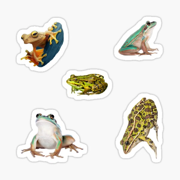 "3rd Snarky Frogs Sticker Package. Funny, Adorable Frogs And Toads For ...