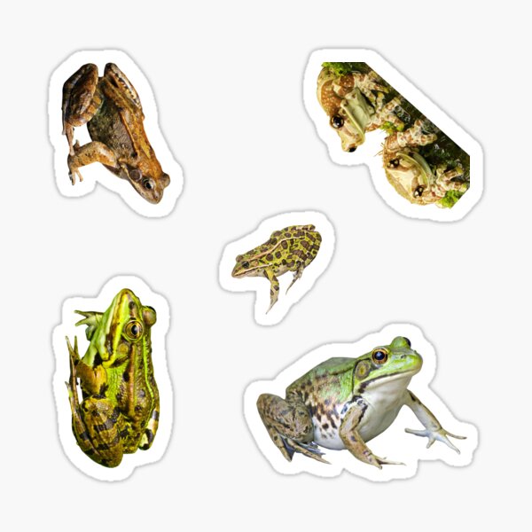 "2nd Toad Frogs Sticker Package. Funny, Adorable Frogs And Toads For ...