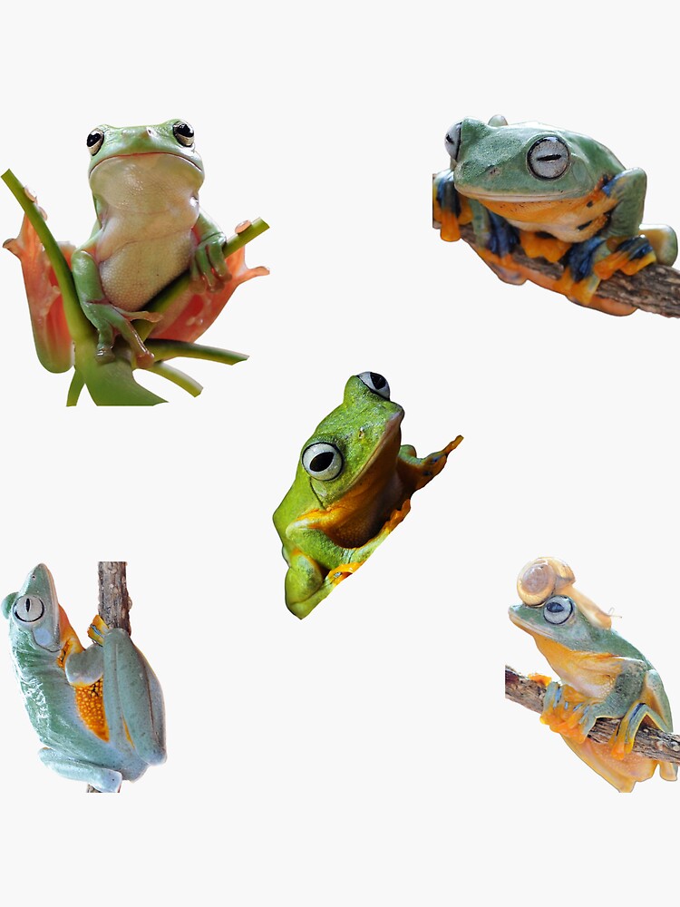 "1st Unique Frogs Sticker Package. Funny, Adorable Frogs And Toads For ...