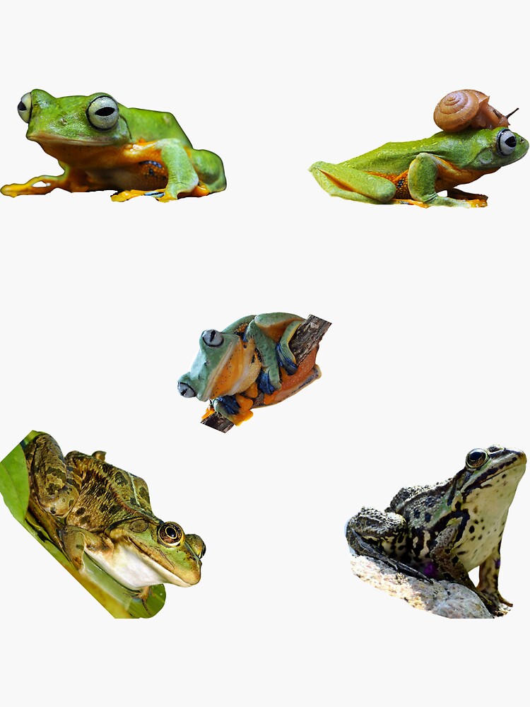 "2nd Unique Frogs Sticker Package. Funny, Adorable Frogs And Toads For ...