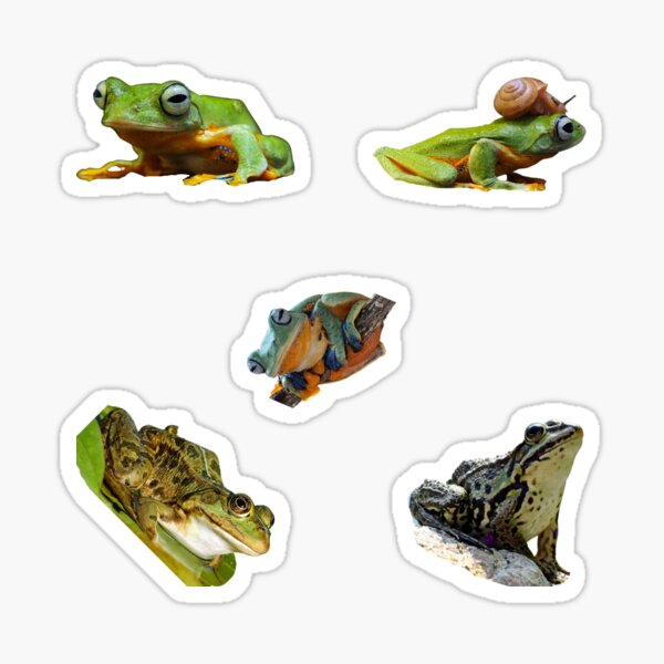 "2nd Unique Frogs Sticker Package. Funny, Adorable Frogs And Toads For ...