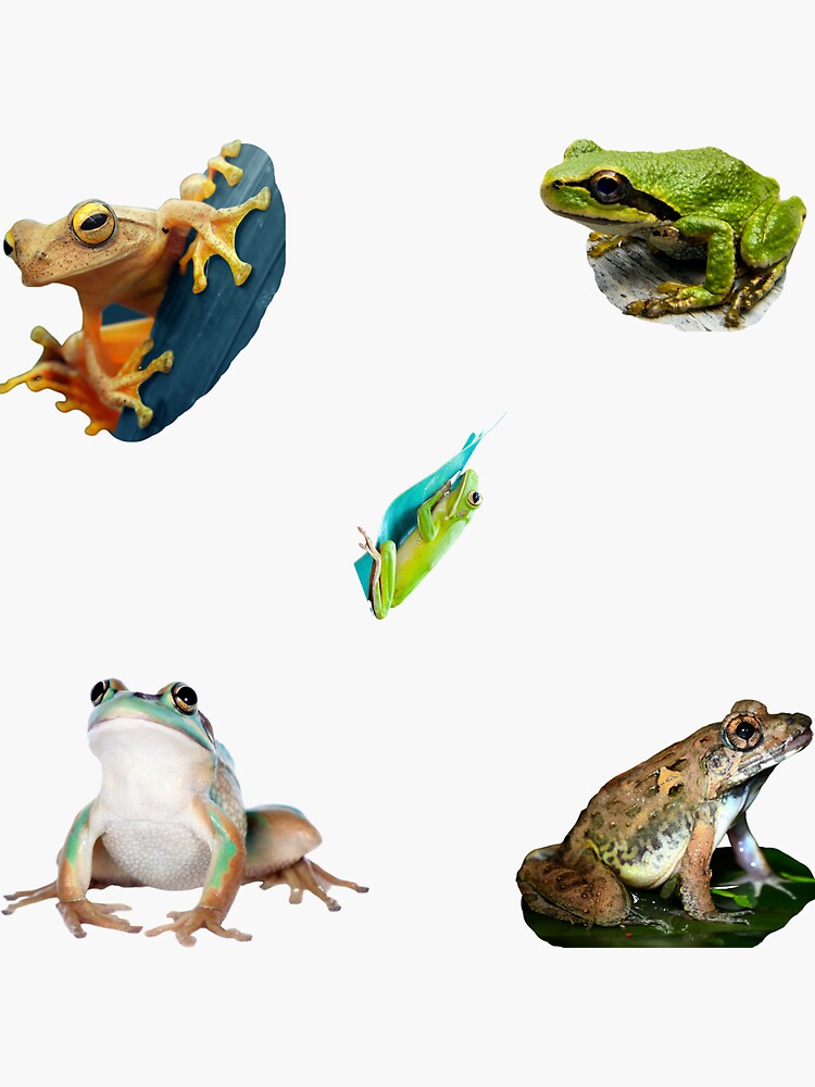 "5th Unique Frogs Sticker Package. Funny, Adorable Frogs And Toads For ...