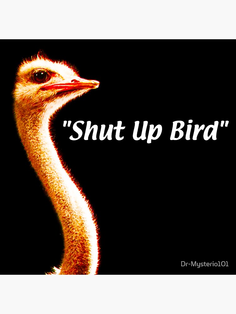 "Shut up Bird." Sticker by Dr-Mysterio101 | Redbubble