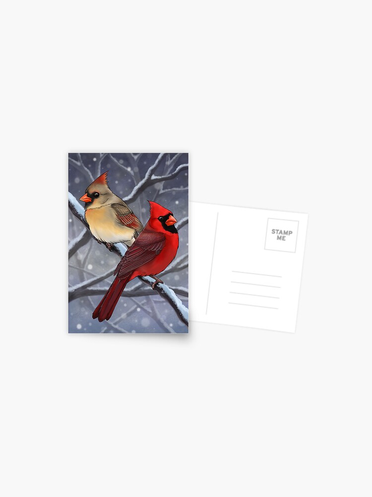 "Winter Cardinals" Postcard for Sale by Roxanne Gasperetti | Redbubble
