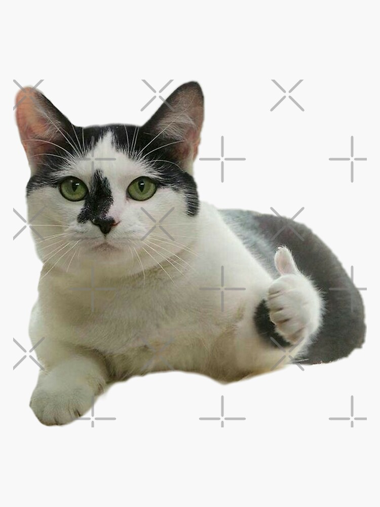 "Cat Ok" Sticker for Sale by noyza | Redbubble