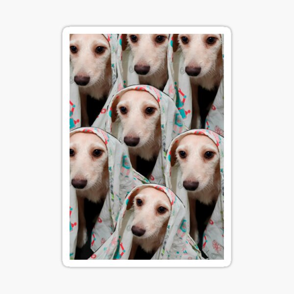 "meme dog" Sticker by Thiffer | Redbubble