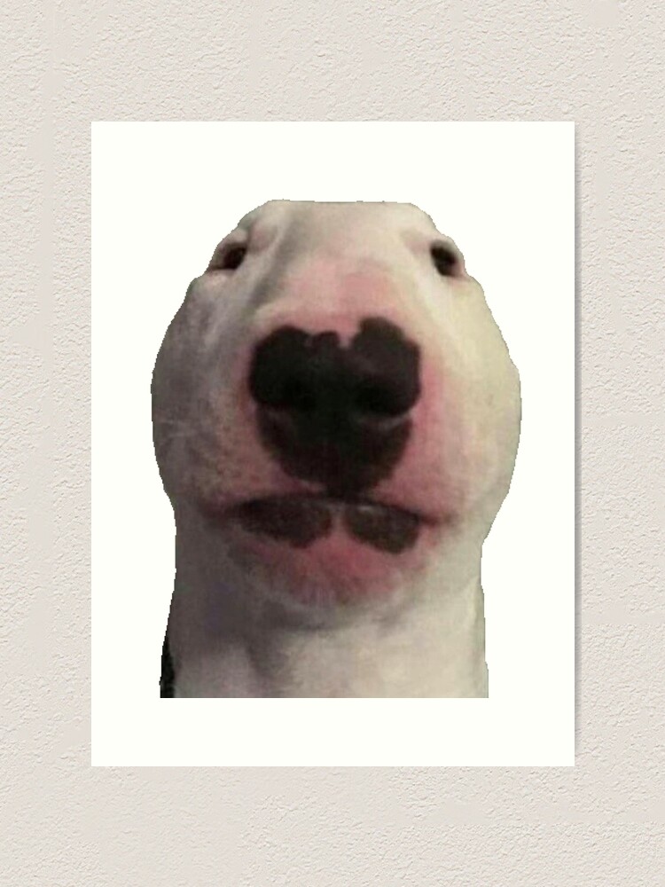 "Walter Dog Meme | Funny Meme" Art Print by memeology69 | Redbubble