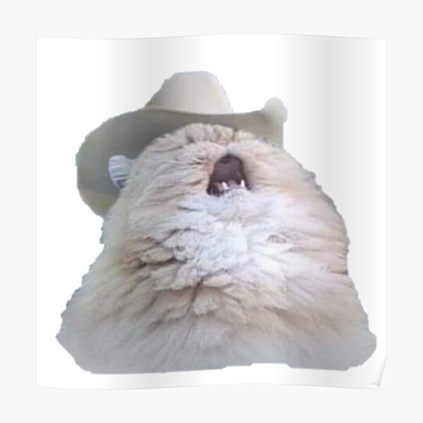 "Cowboy Cat Scream Meme | Funny Meme" Poster for Sale by memeology69 ...