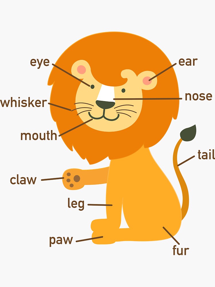 "Lion body parts shirt, school, " Sticker for Sale by enlinethebrand ...