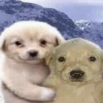 "JOTCHUA" Sticker for Sale by glamorous100007 | Redbubble