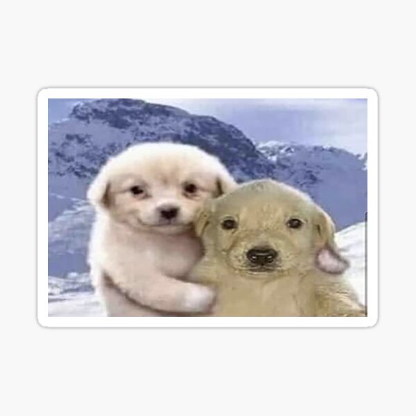 Puppy Hug Memes