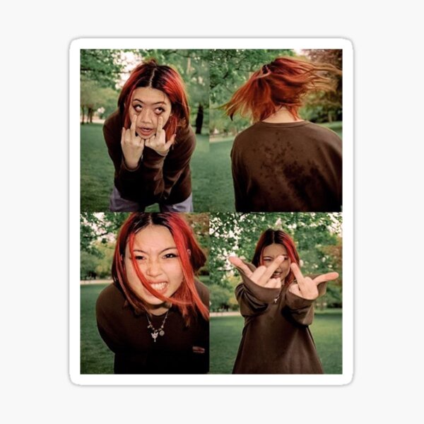 "beabadoobee Essential " Sticker for Sale by CustomPleasures | Redbubble