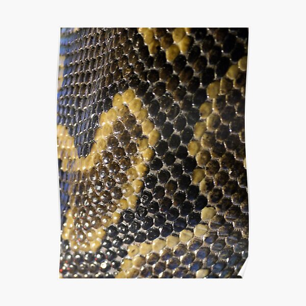 "Python Skin Pattern Bed Sheet Design" Poster by PodiShawna | Redbubble