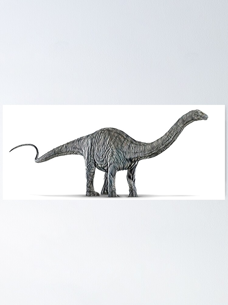 "Diplodocus sauropod dinosaur drawing - Pencil" Poster by PrintPit ...