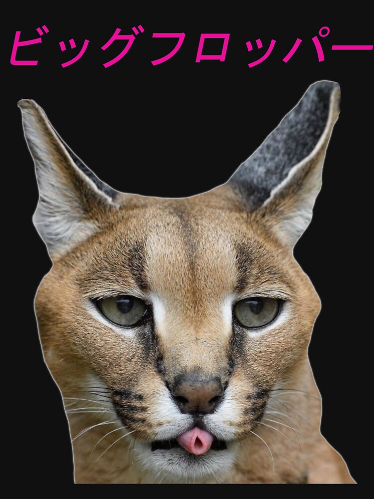 "Big Floppa Pink aesthetic" T-shirt by nathanSESH | Redbubble