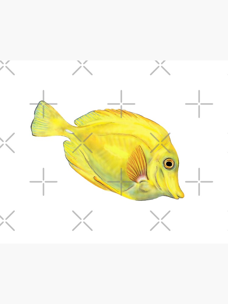 "Yellow Tang" Poster by PDdrawings | Redbubble
