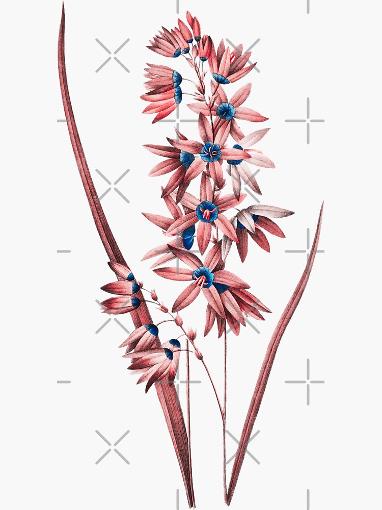 "Red Alt of African Corn Lily Flower" Sticker for Sale by DaphneKstudio ...