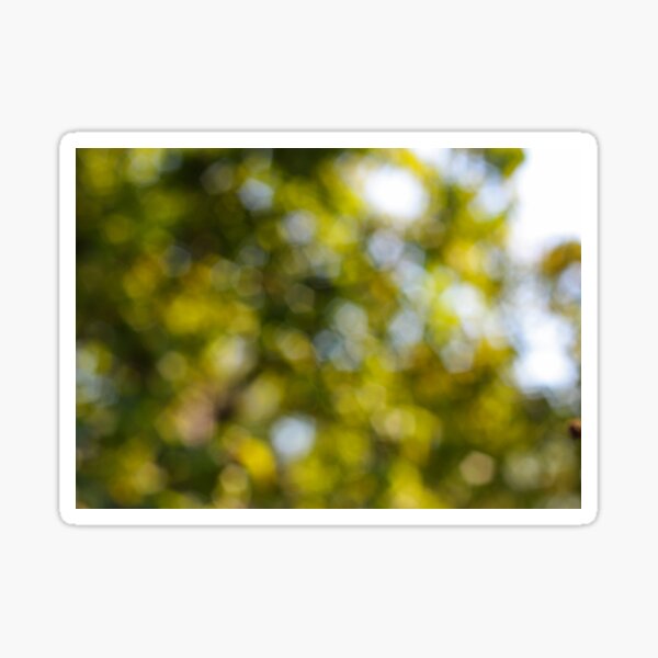 "Nature Bokeh" Sticker for Sale by Asaha17 | Redbubble