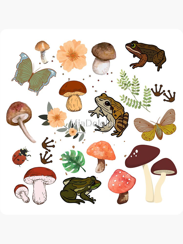 "Cottagecore Aesthetic Frog, Mushroom, Moth, and Flower Collage ...