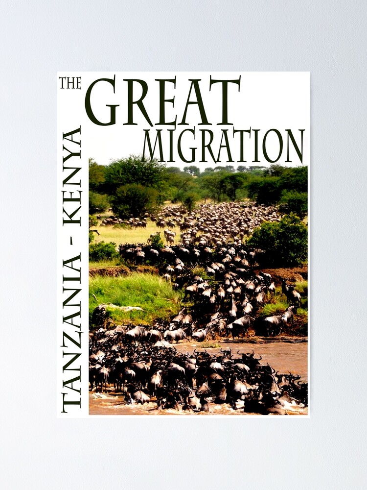"The great migration" Poster by maarifa | Redbubble