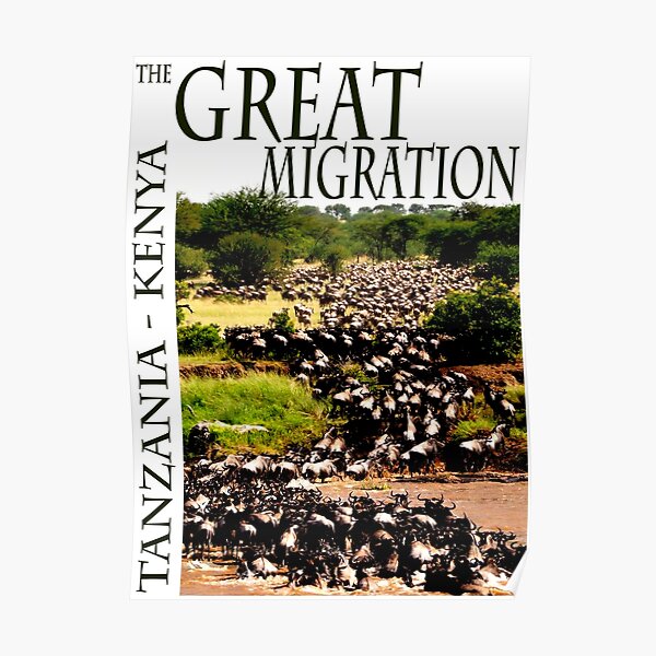 "The great migration" Poster by maarifa | Redbubble
