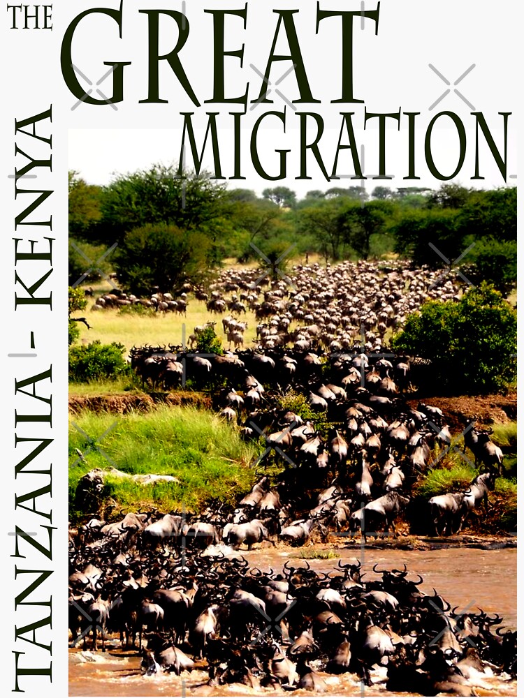 "The great migration" Sticker for Sale by maarifa | Redbubble