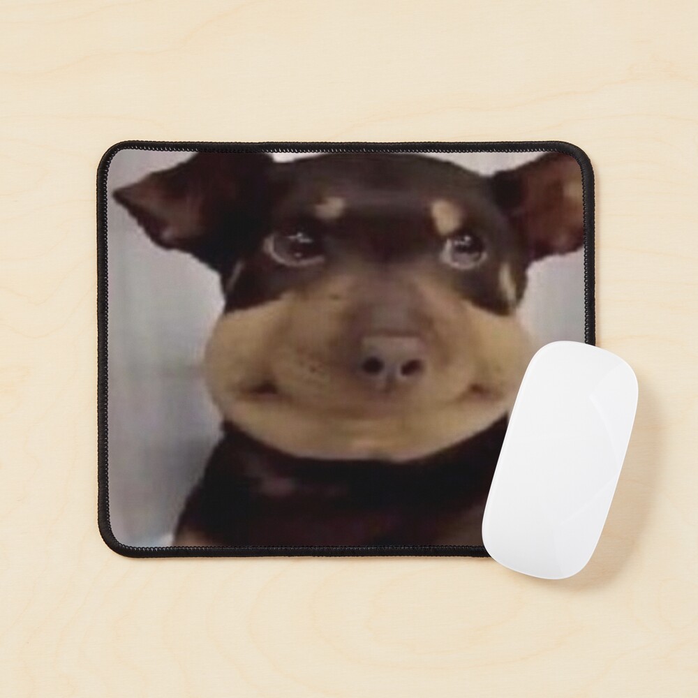 "Figglebottom the Dog" Sticker for Sale by Mr. Meatball | Redbubble
