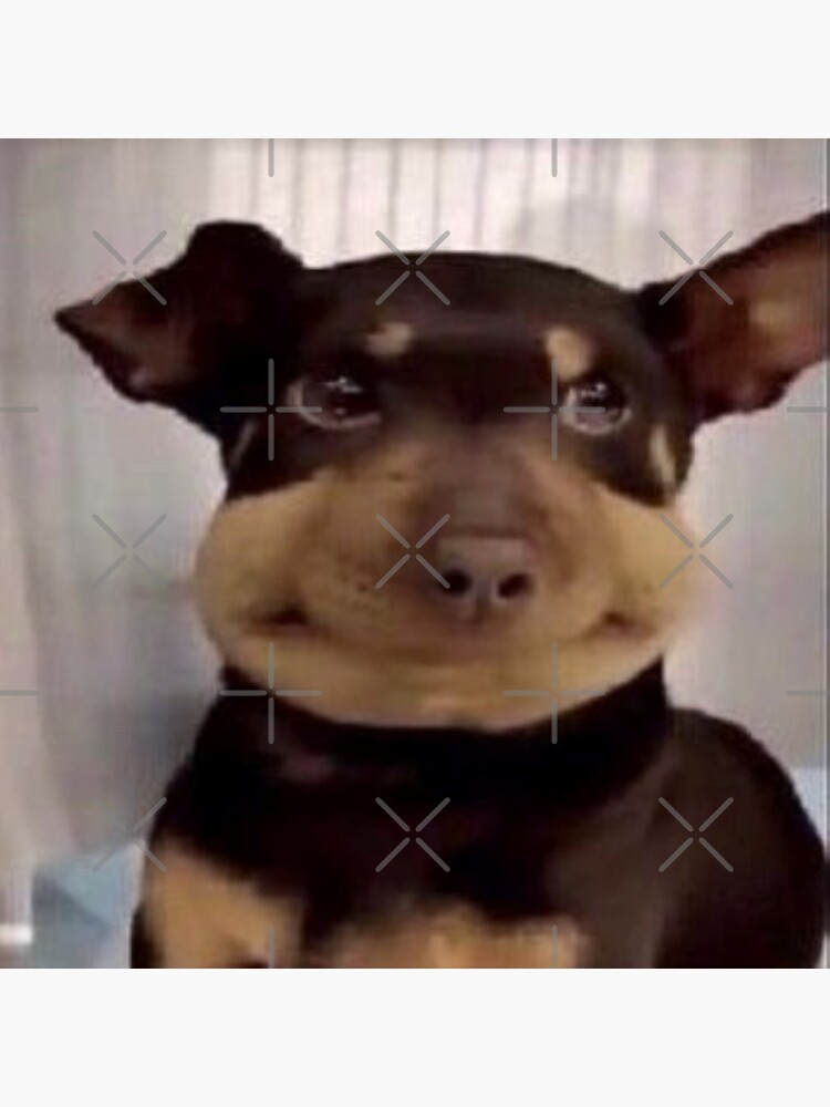 "Figglebottom the Dog" Poster for Sale by iavntheterrible | Redbubble