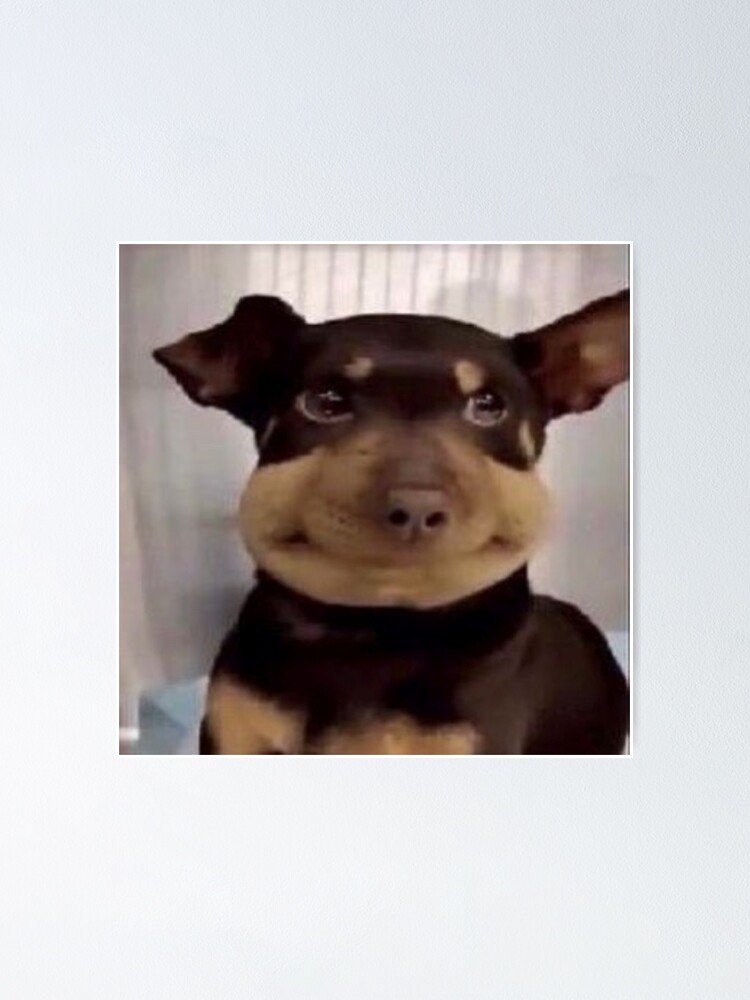 "Figglebottom the Dog" Poster for Sale by iavntheterrible | Redbubble