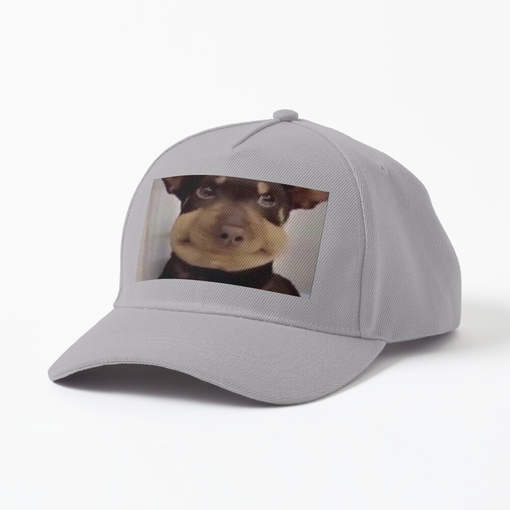 "Figglebottom the Dog" Sticker for Sale by Mr. Meatball | Redbubble