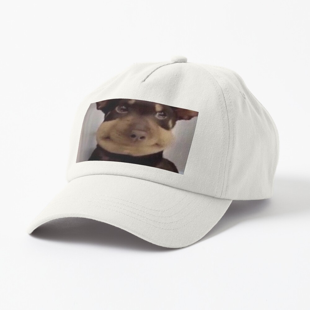 "Figglebottom the Dog" Sticker for Sale by Mr. Meatball | Redbubble