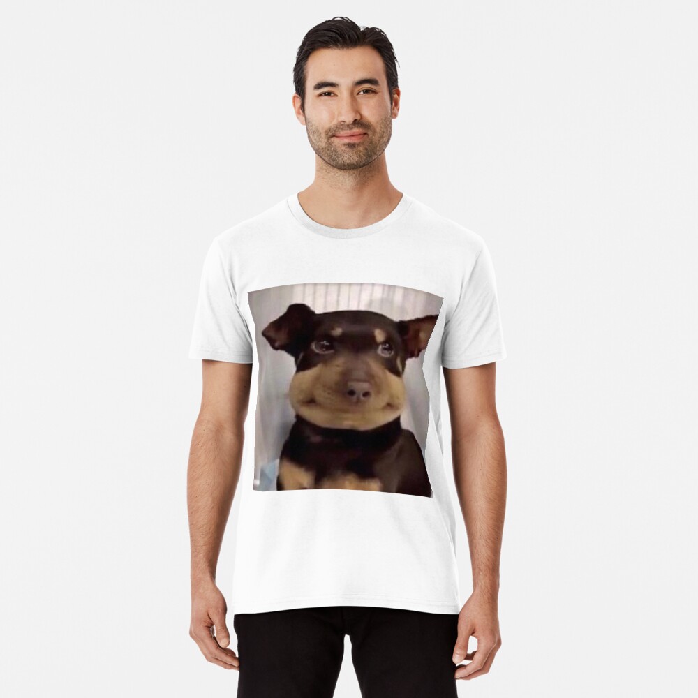 "Figglebottom the Dog" Sticker for Sale by Mr. Meatball | Redbubble