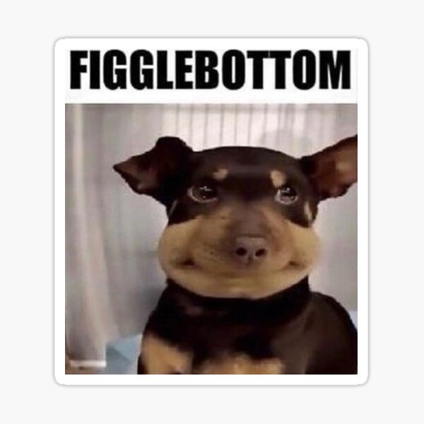 "Figglebottom the Dog Meme Format" Sticker for Sale by iavntheterrible ...