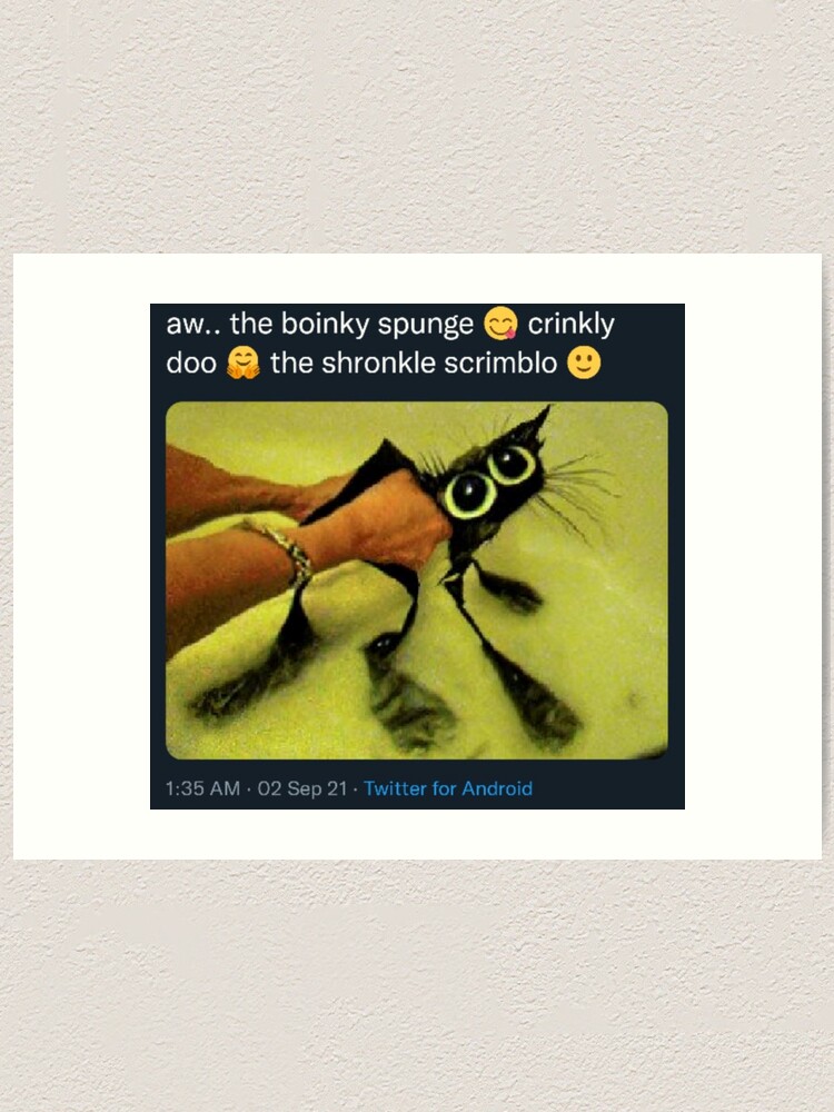 "the boinky spunge crinkly doo the shronkle scrimblo cat meme" Art ...