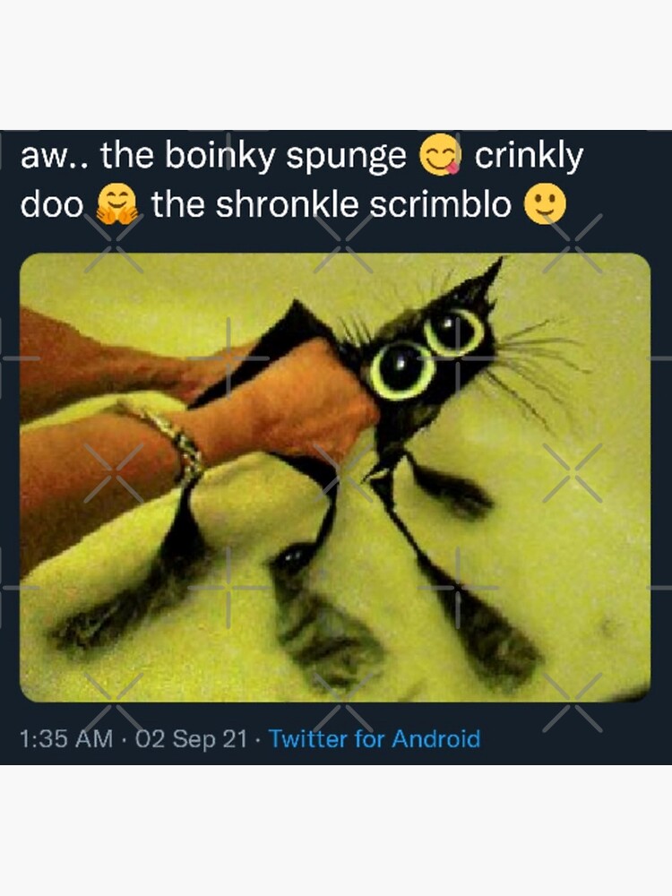 "the boinky spunge crinkly doo the shronkle scrimblo cat meme" Poster ...