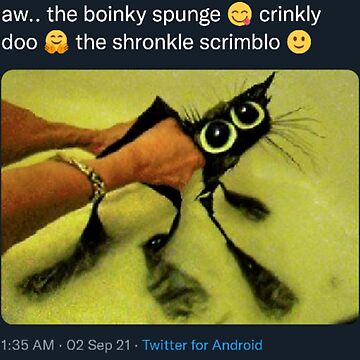 "the boinky spunge crinkly doo the shronkle scrimblo cat meme" Cap for ...