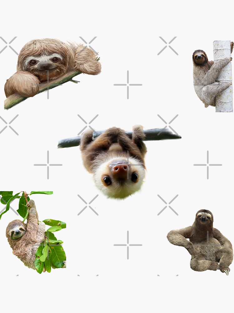 "Sloth sticker pack" Sticker for Sale by starseedgems | Redbubble