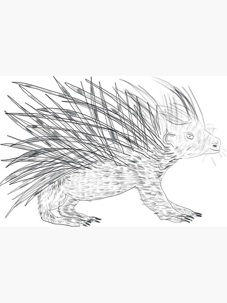 "Porcupine skin clean" Poster by sunnyheart | Redbubble