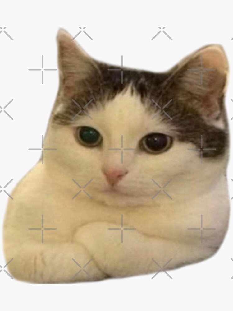 "Cute judgy cat" Sticker for Sale by fezram | Redbubble