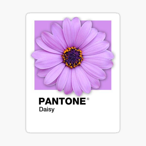 "Pantone | Daisy" Sticker for Sale by ashleyherkie | Redbubble