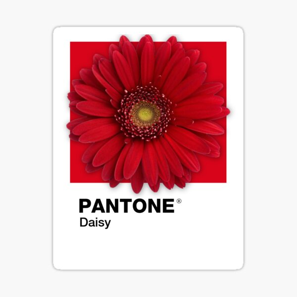 "Pantone | Daisy" Sticker for Sale by ashleyherkie | Redbubble