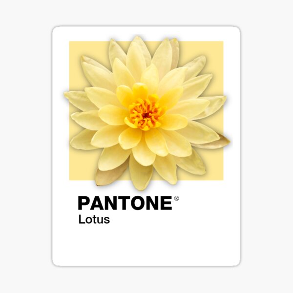 "Pantone | Lotus" Sticker for Sale by ashleyherkie | Redbubble