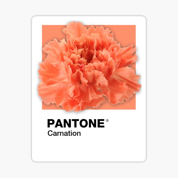 "Pantone | Carnation" Sticker for Sale by ashleyherkie | Redbubble