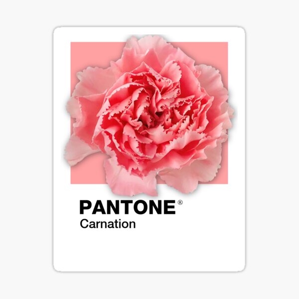 "Pantone | Carnation" Sticker for Sale by ashleyherkie | Redbubble
