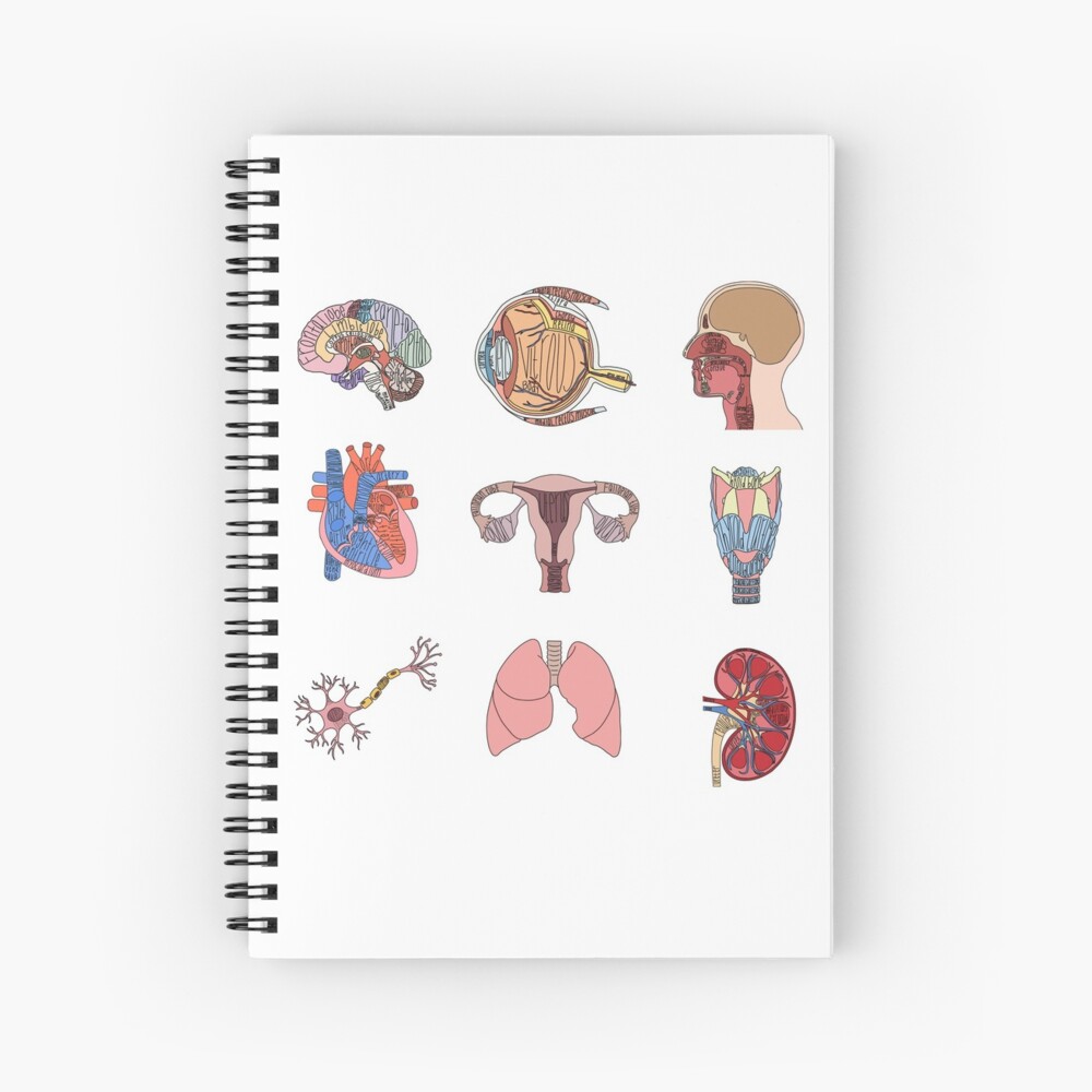"Labeled Anatomy Organs Pack " Sticker for Sale by KatherineWinner ...