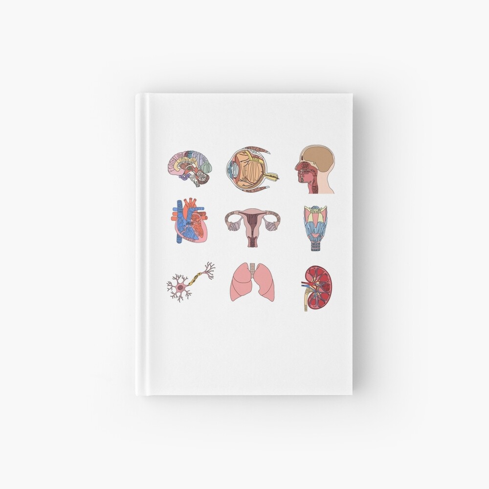 "Labeled Anatomy Organs Pack " Sticker for Sale by KatherineWinner ...