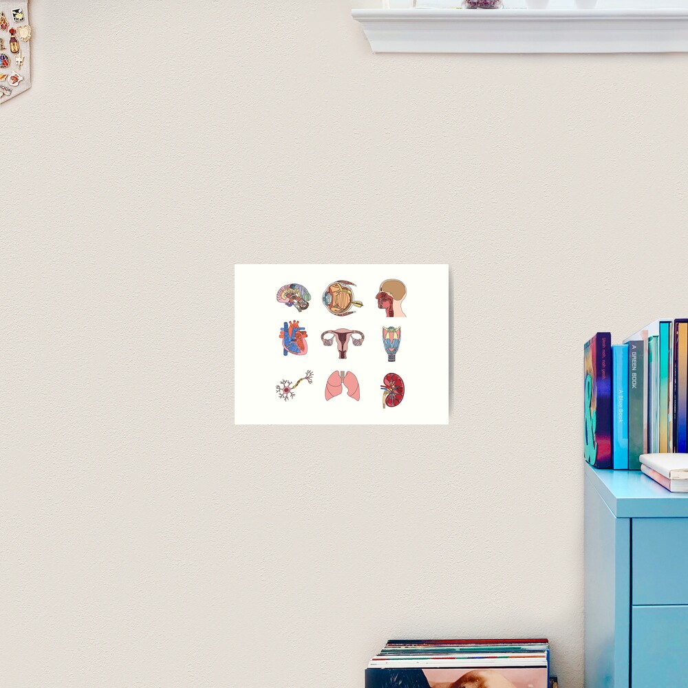 "Labeled Anatomy Organs Pack " Sticker for Sale by KatherineWinner ...