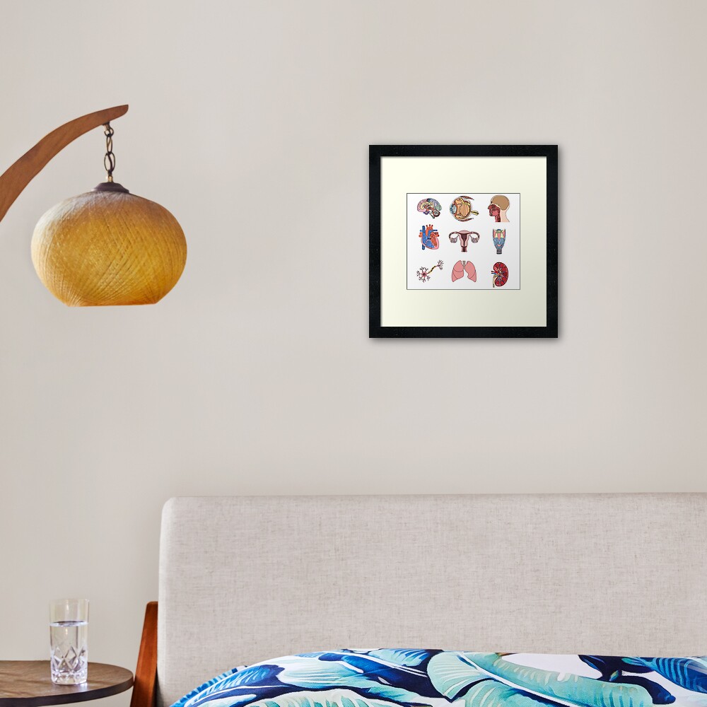 "Labeled Anatomy Organs Pack " Sticker for Sale by KatherineWinner ...